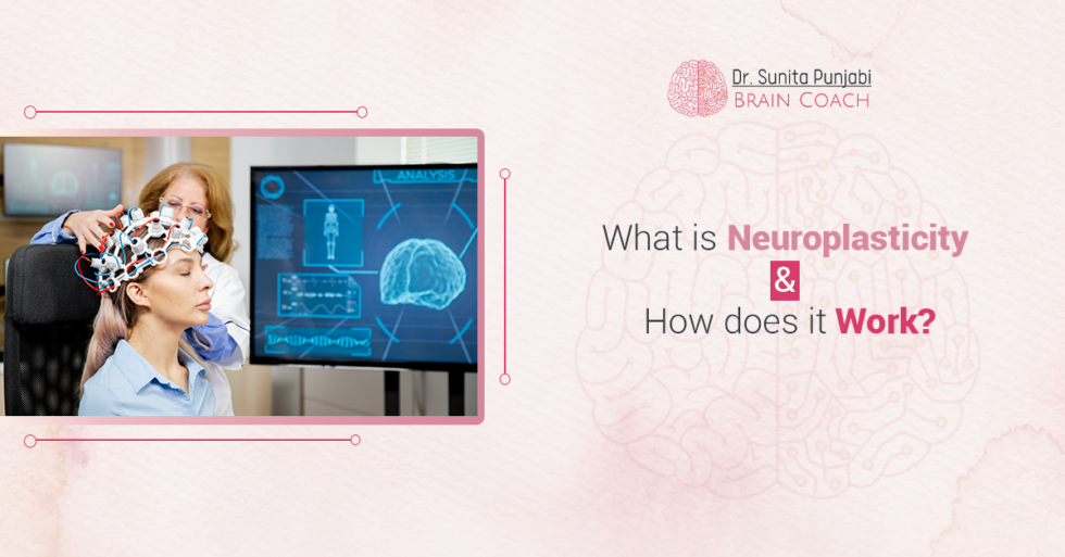 What is Neuroplasticity and How Does It Work? - Brain Coach